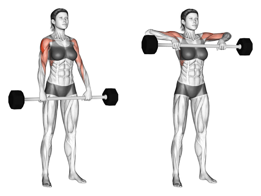 Upright Barbell Row How To Do Muscle Worked Benefits
