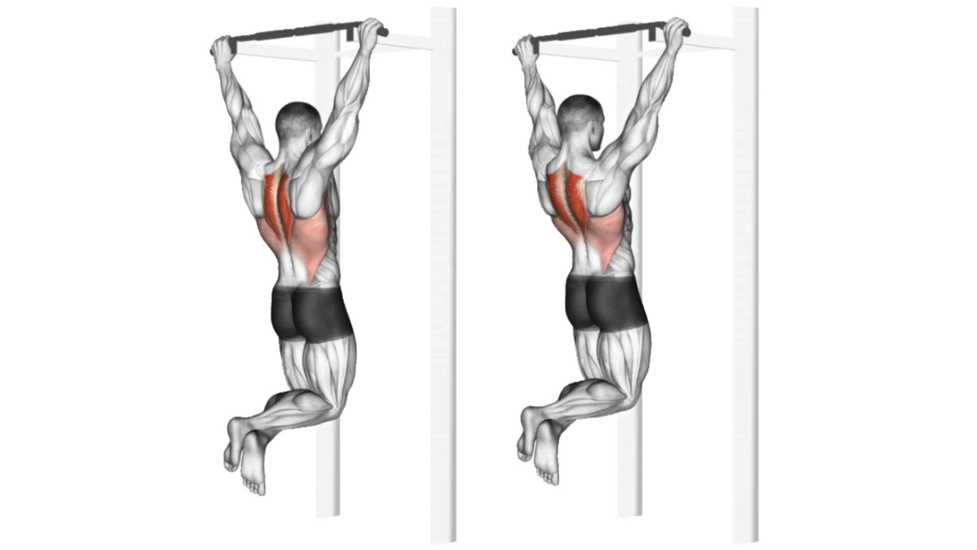 Pull Ups In Spanish At Anna Akins Blog