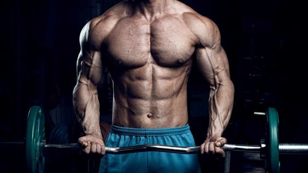 10 Best Bicep Exercises to Build Bigger and Stronger Arms