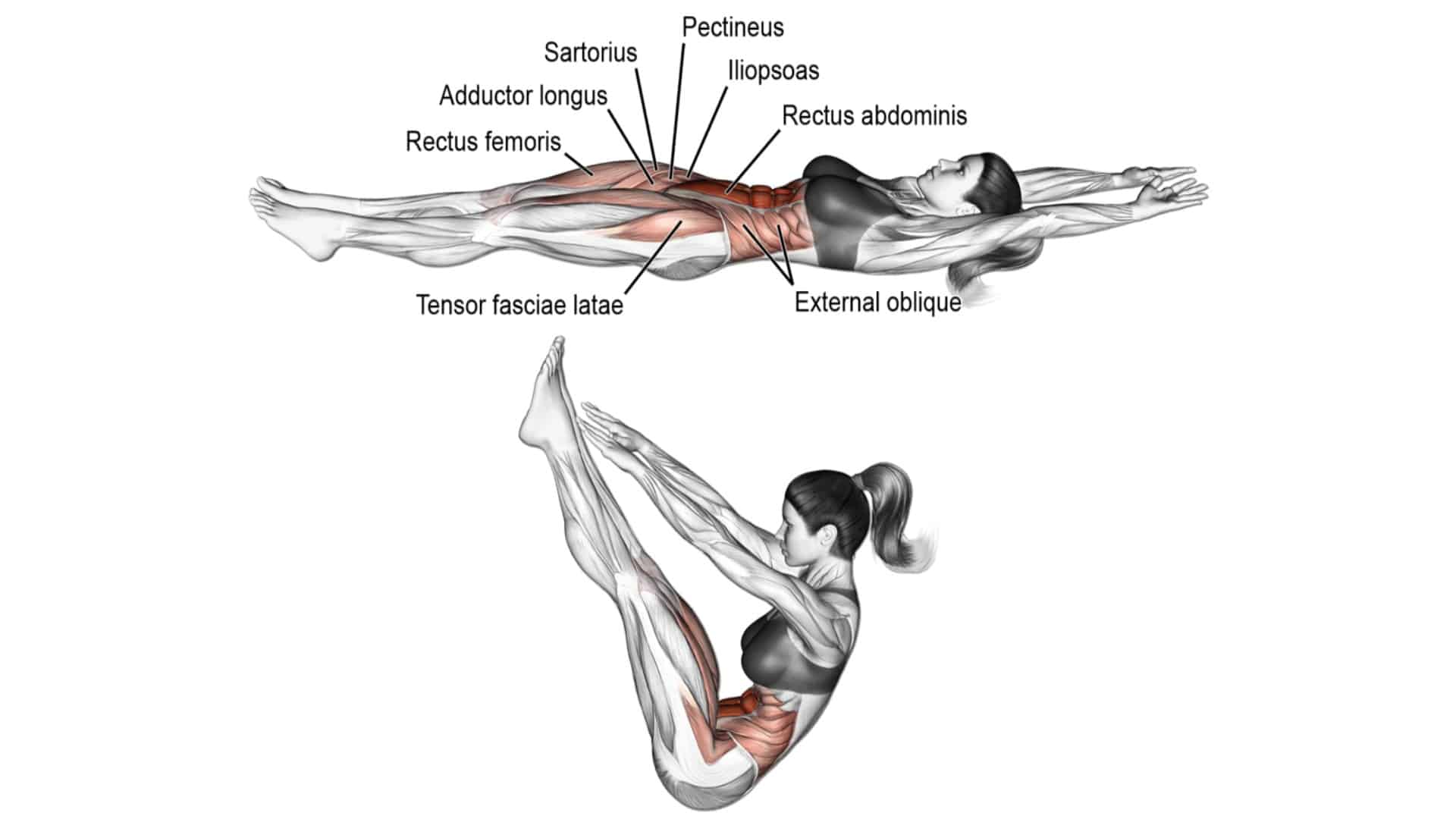 21 Best Oblique Exercises For A Strong Core