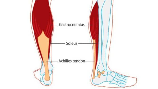 The Ultimate Guide For Leg Workout: 15 Exercises for Strong Legs