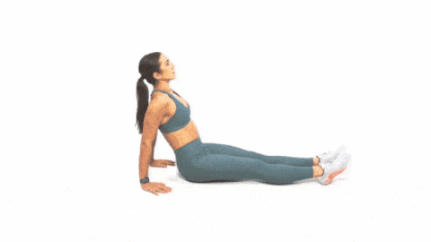 Plank Exercise: Benefits, Variations, Muscles worked, Tips