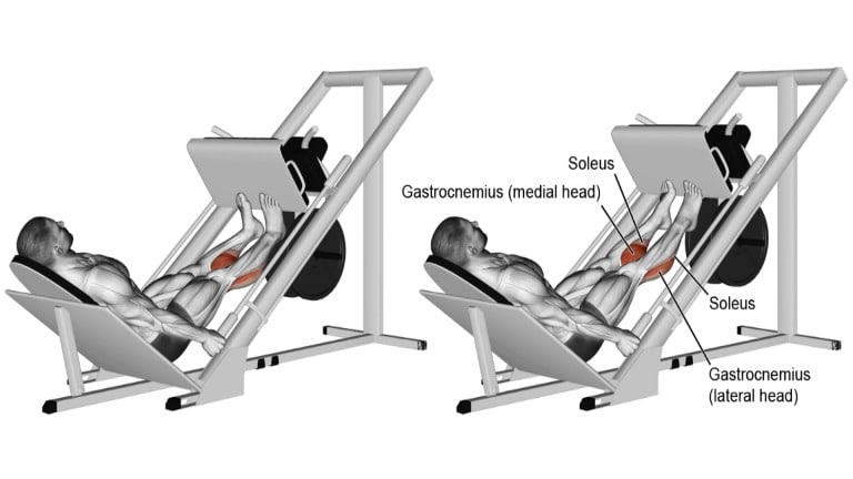 The Ultimate Guide For Leg Workout: 15 Exercises for Strong Legs