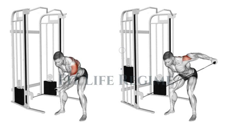 Rear Delt Cable Fly: Muscle Worked, Tips & Alternate