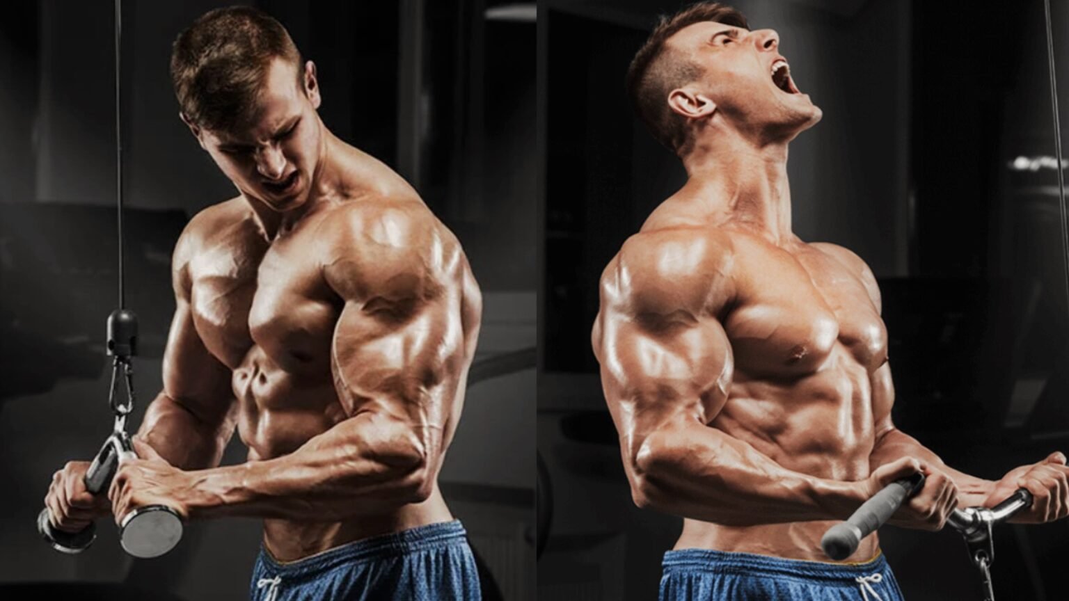5 Best Biceps Machine Exercises That You Can Do At GYM
