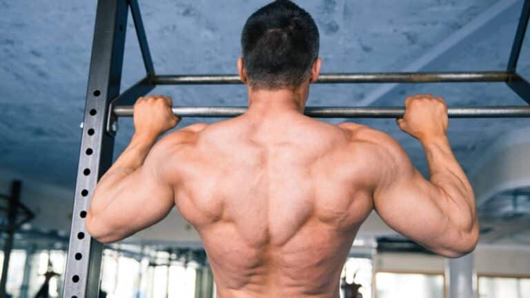 15 Best Bodyweight Back Workout: Beginner to Advanced