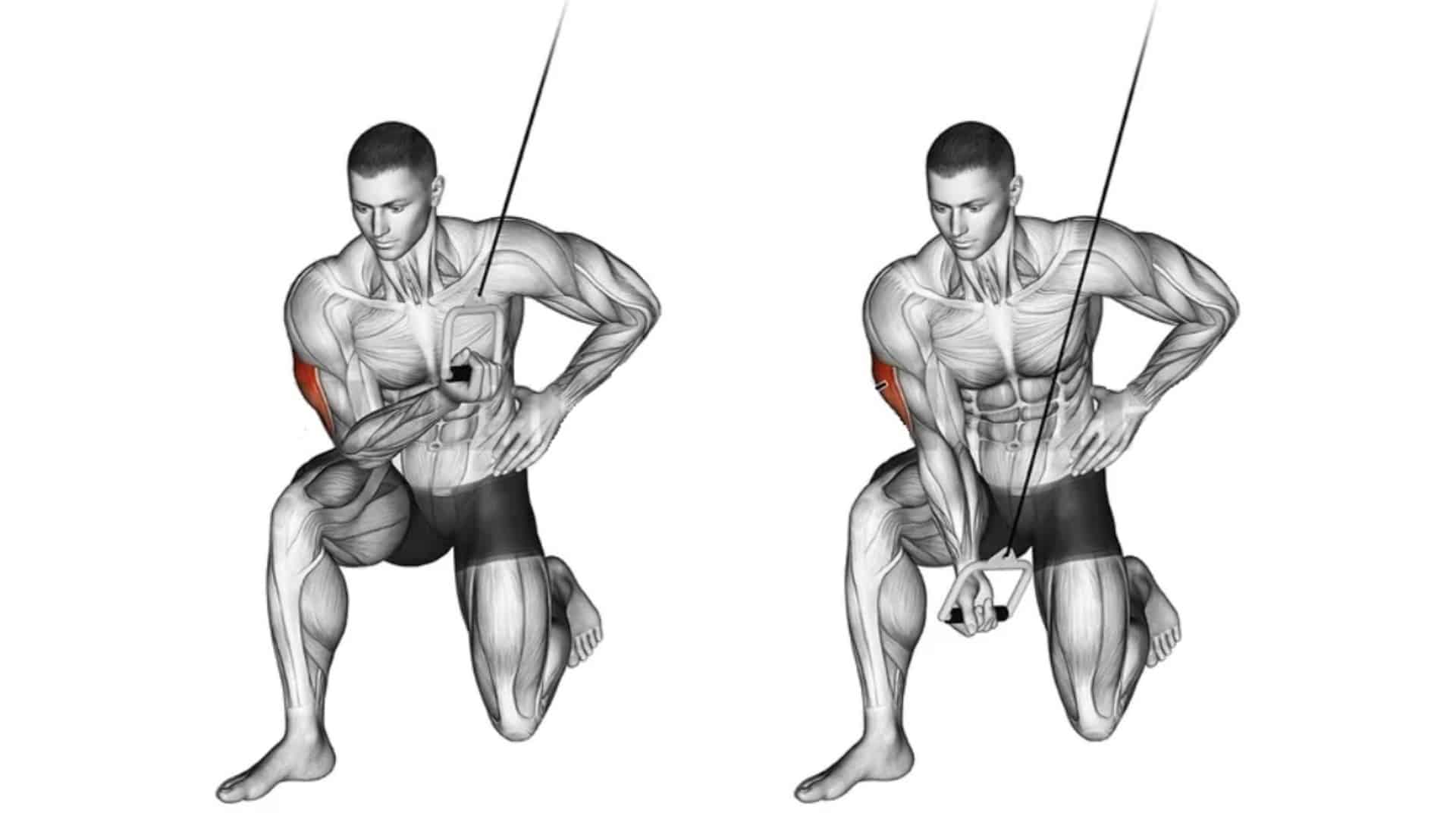 15 Best Triceps Cable Exercises for Building Bigger Arms