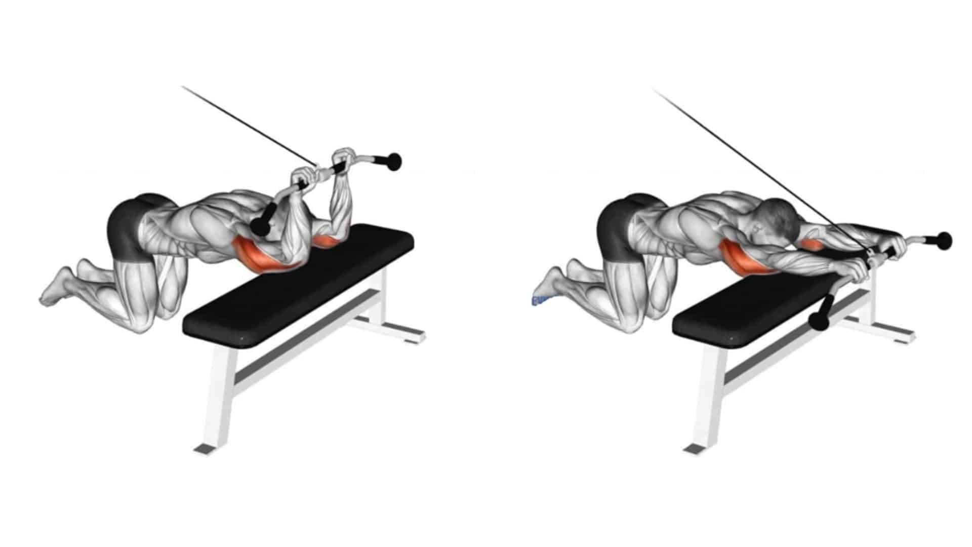 15 Best Triceps Cable Exercises for Building Bigger Arms