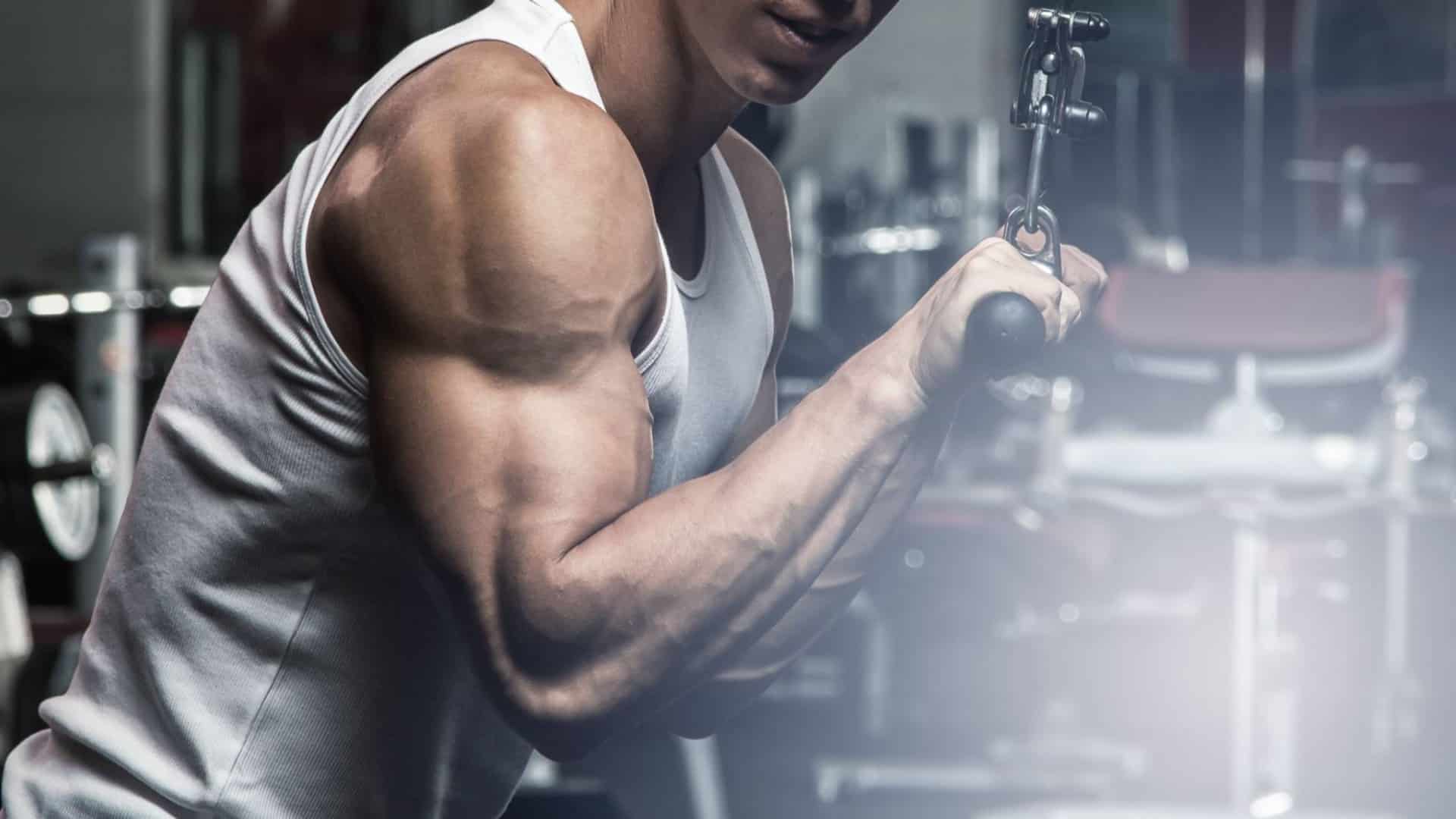 Triceps Pushdown Exercises for Building Bigger Arms