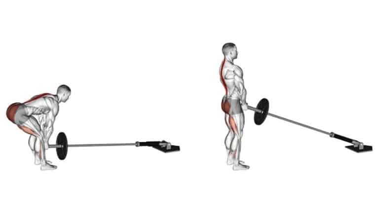 Landmine Deadlift: Muscles Worked, Form, Benefits