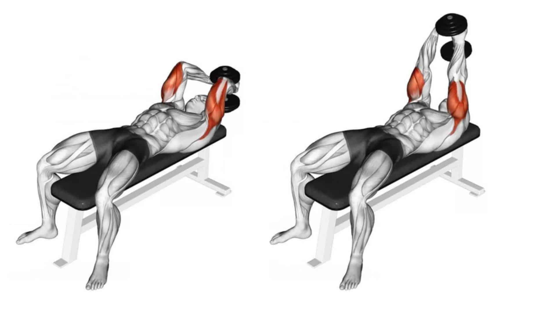 Lying Dumbbell Triceps Extensions