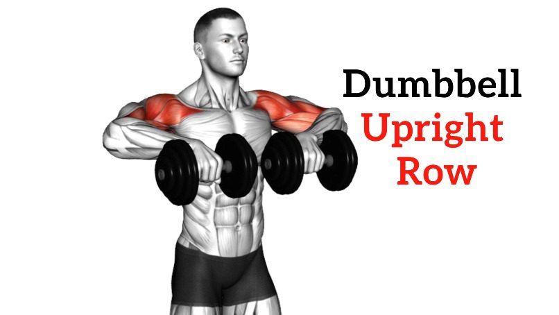Dumbbell Upright Row How To Do Muscle Worked Benefits