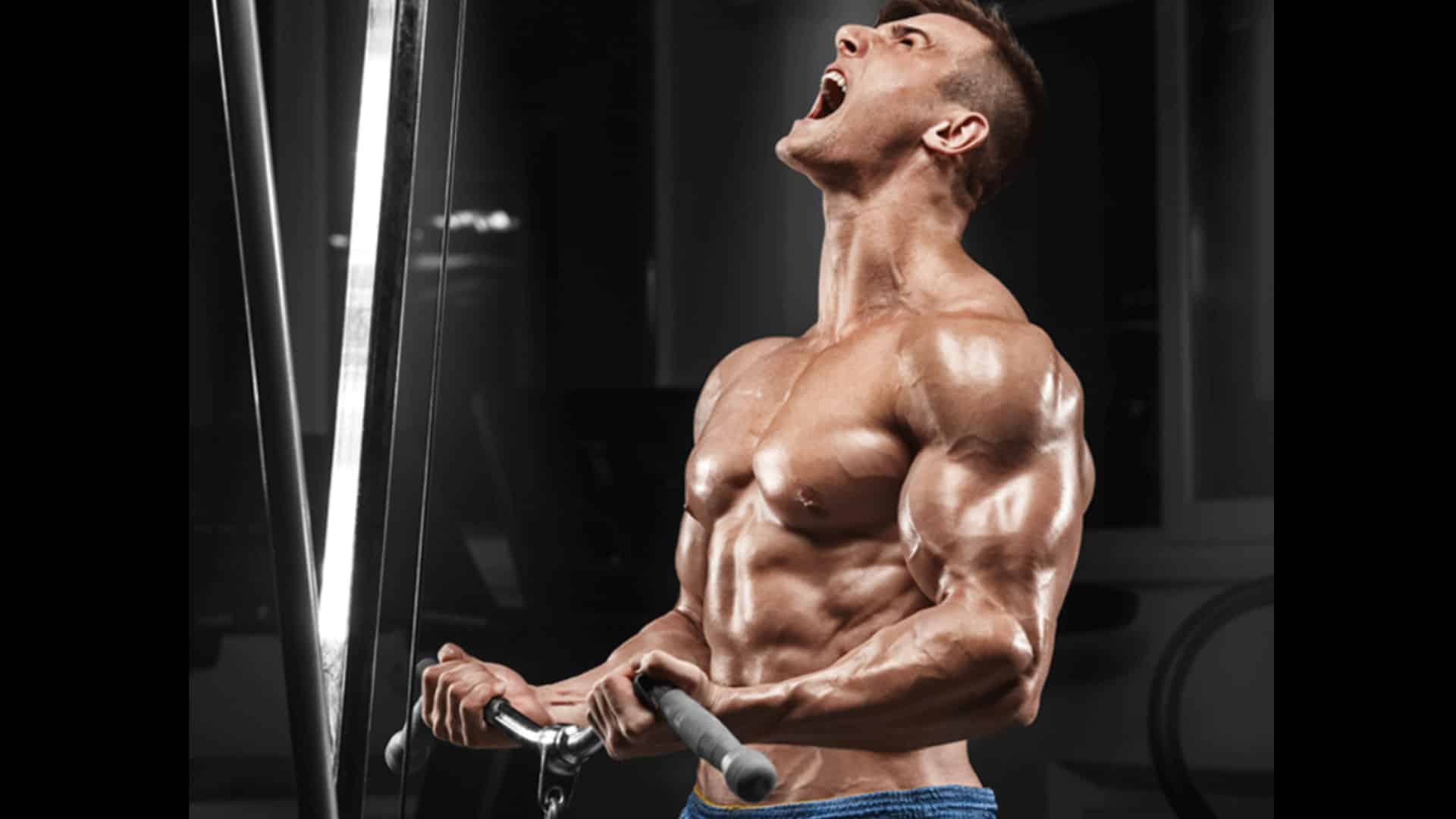 The 12 Best Biceps Exercises For Arm Size Breaking Muscle 57 Off
