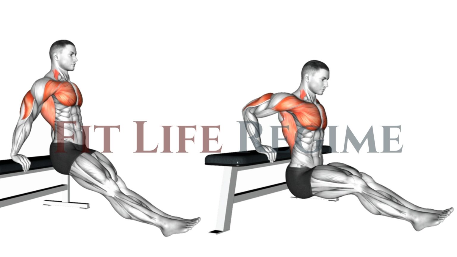 7 Most Effective Tricep Dips To Build Mass and Strength