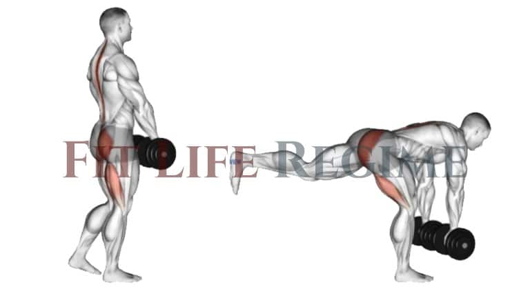 20 Best Dumbbell Leg Exercises That You Can Do At Home or Gym