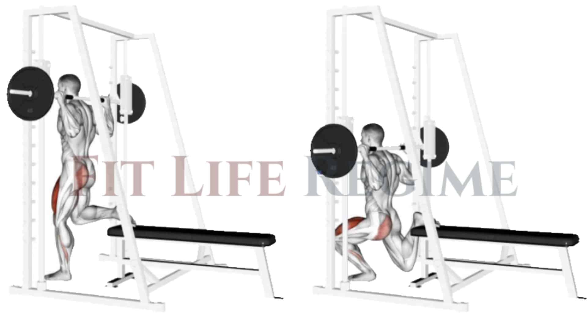 12 Most Effective Smith Machine Leg Workout & Exercises