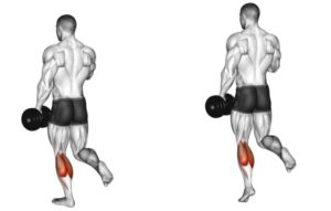 Standing Dumbbell Calf Raise