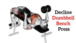 How To Do Decline Dumbbell Bench Press With Perfect Technique